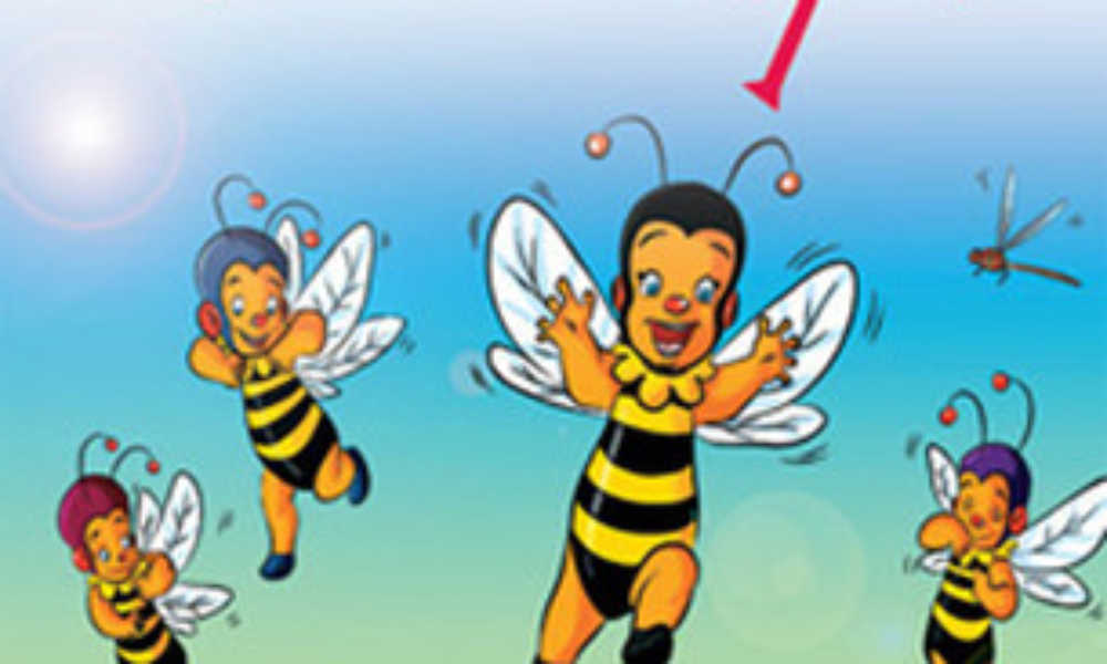 Arı Maya Kitabı - Cicicee