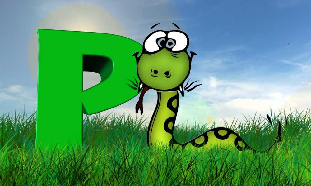 P Harfi ile Başlayan Atasözleri ve Anlamları - Cicicee