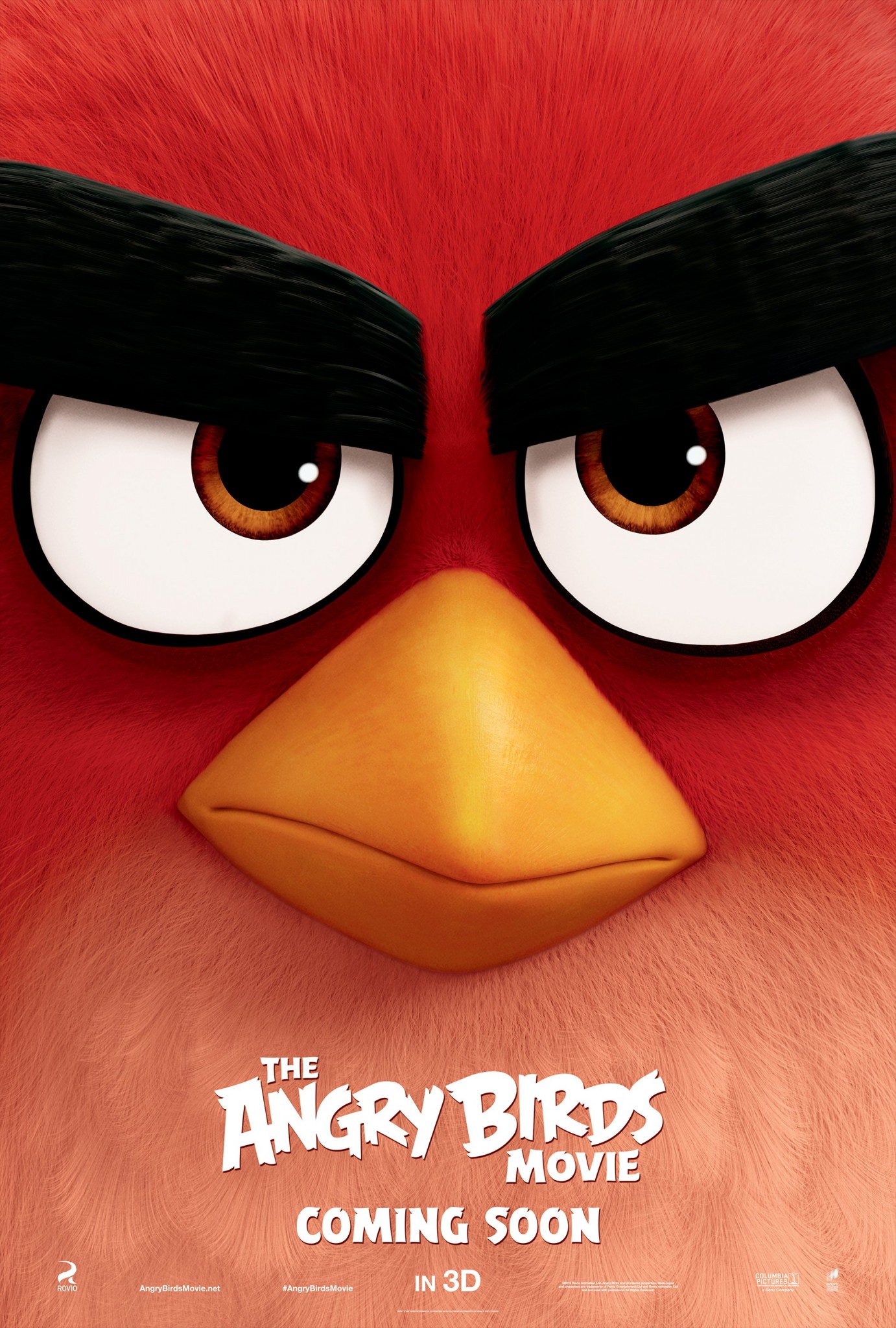 Angry Birds - Cicicee
