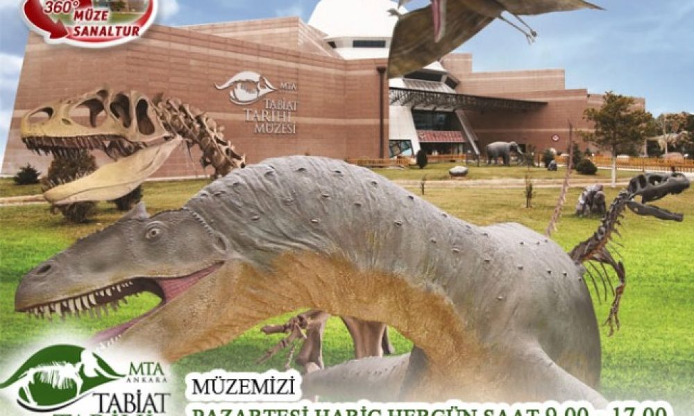 MTA Tabiat Tarihi Müzesi - Cicicee