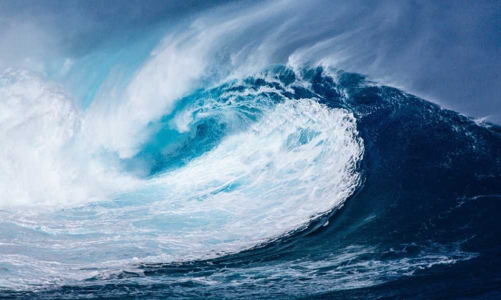 Okyanus Nedir? Okyanusların Adları Nelerdir? - Cicicee